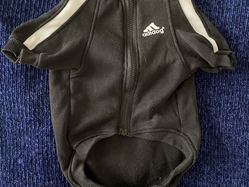 Кофта для собак