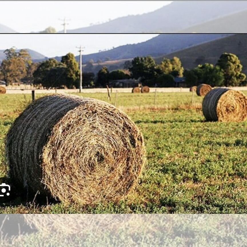 Продажа сено с. Знаменское