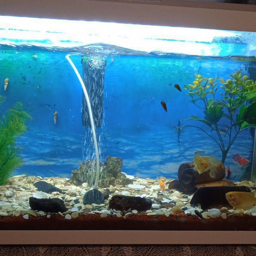 Аквариум 120 литров с рыбками