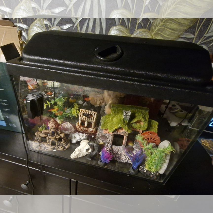 Аквариум на 20 литров