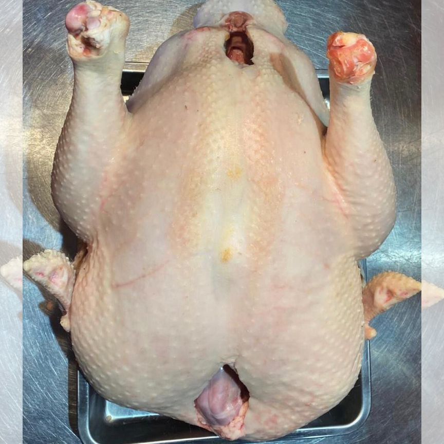 Продам Индейку