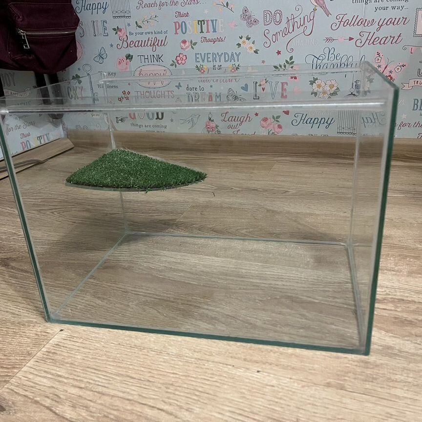 Аквариум с островком