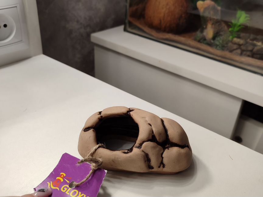 Крышка влажной камеры