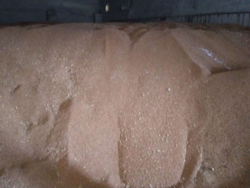 Зерно пшеница, ячмень