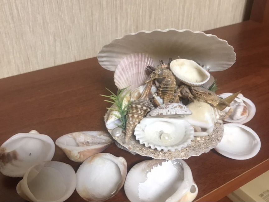 Ракушки для аквариума