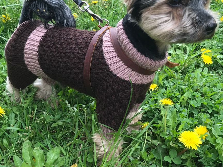 Вязаная одежда для собак и кошек
