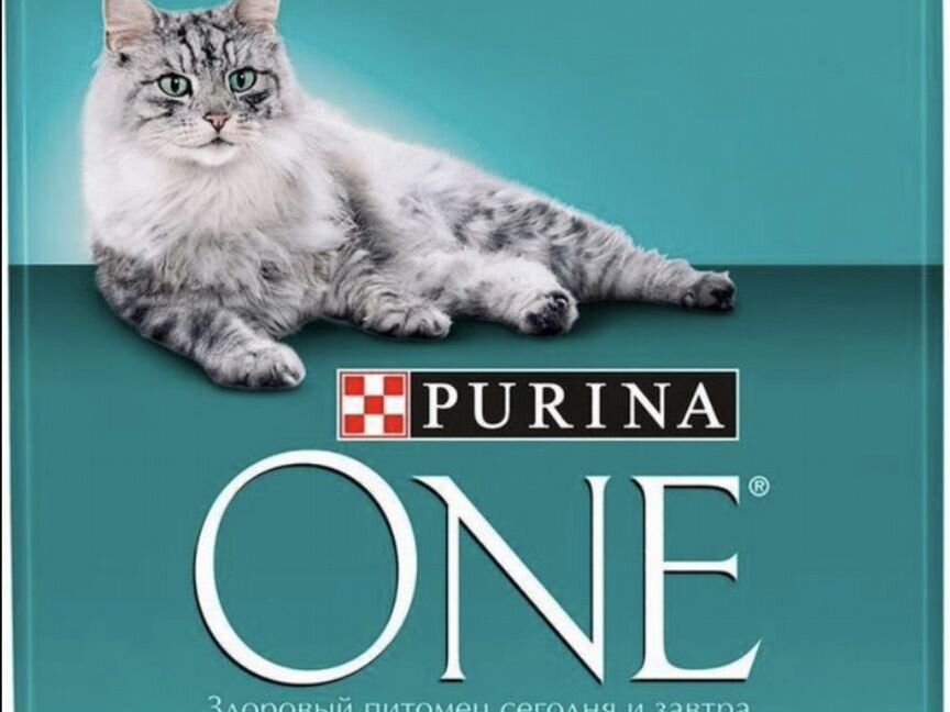 Кошачий сухой корм purina one