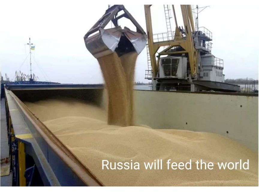Пшеница, ячмень, wheat