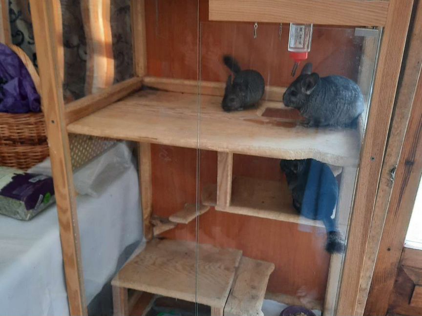 Клетка для грызунов,шиншилы.пара.и их малыш