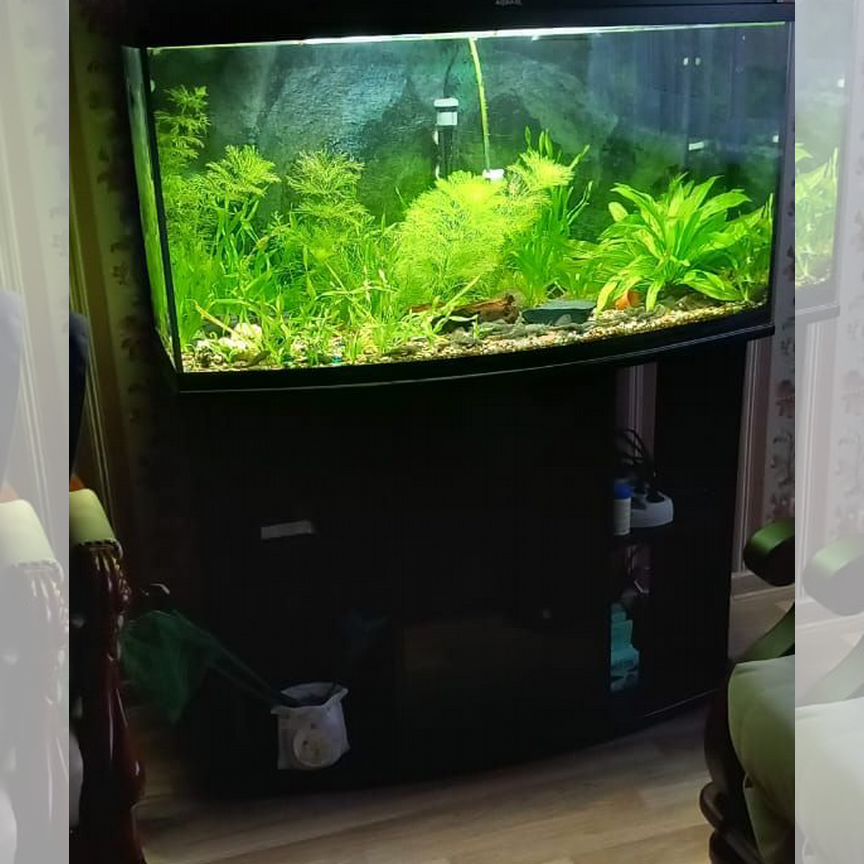 Аквариум с рыбками