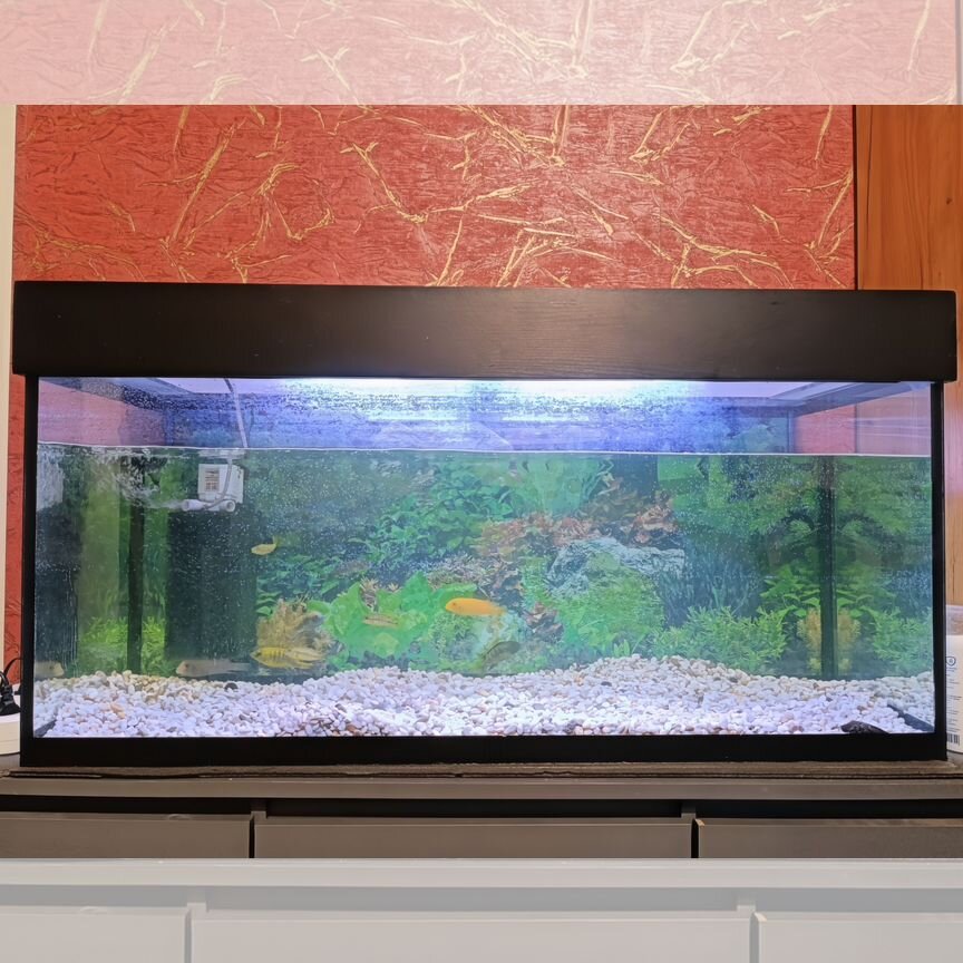 Аквариум 120 литров без тумбы