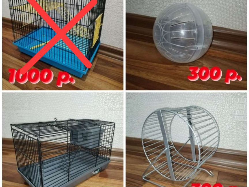 Атрибутика для грызунов