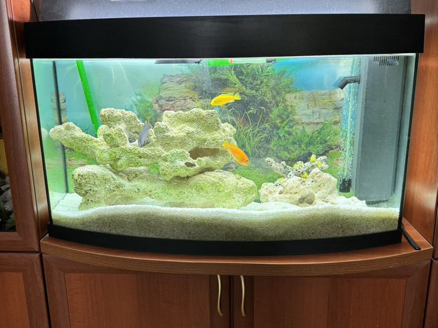 Панорамный Аквариум с тумбой juwel vision 180л