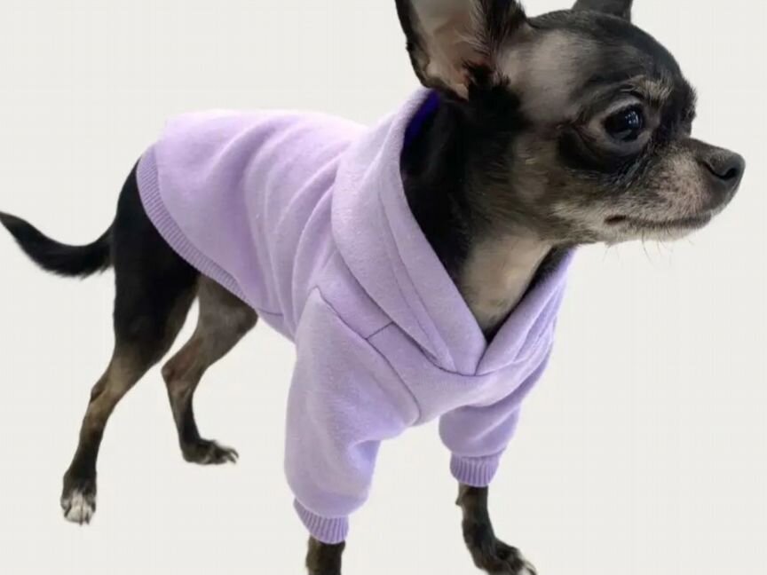 Худи кофта для собак и кошек