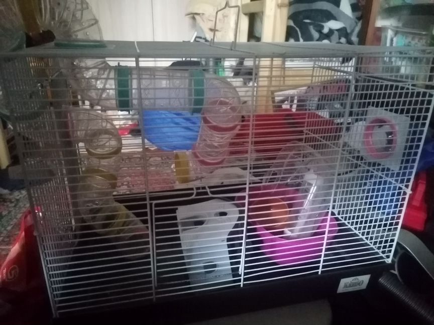 Клетка для хамчка