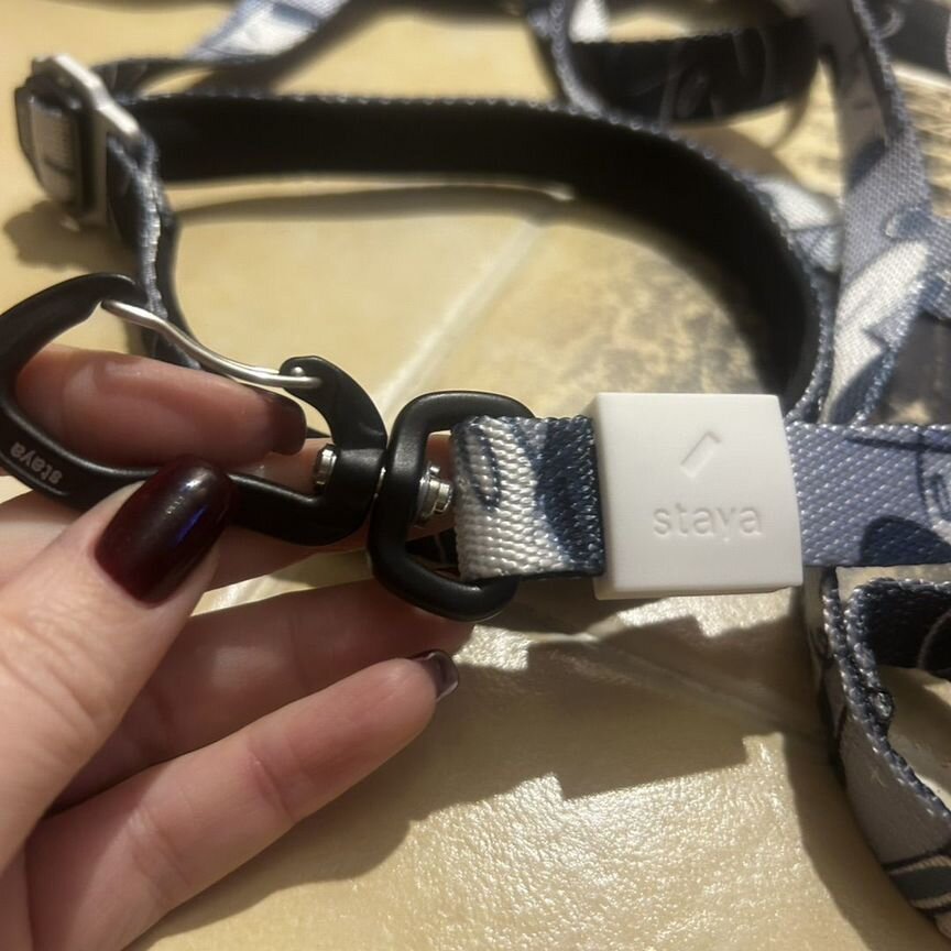 Поводок staya