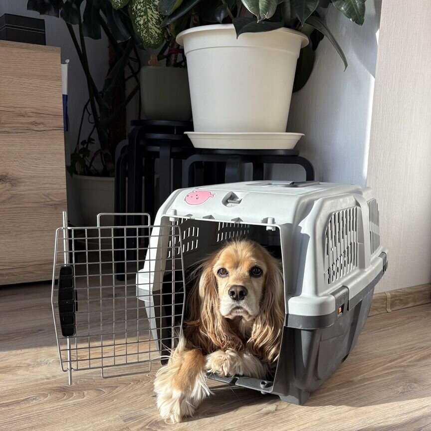 Переноска для собак средних размеров 60 см