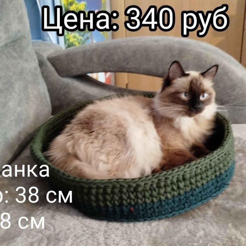 Котолежанка