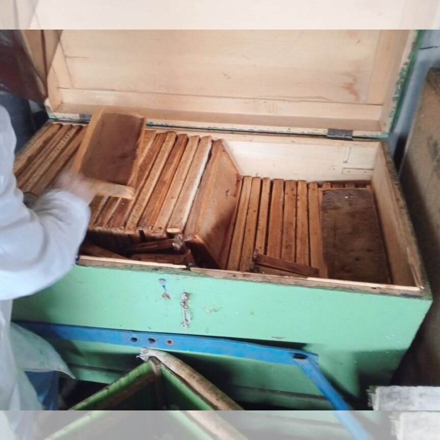 Рамки для ульев бу