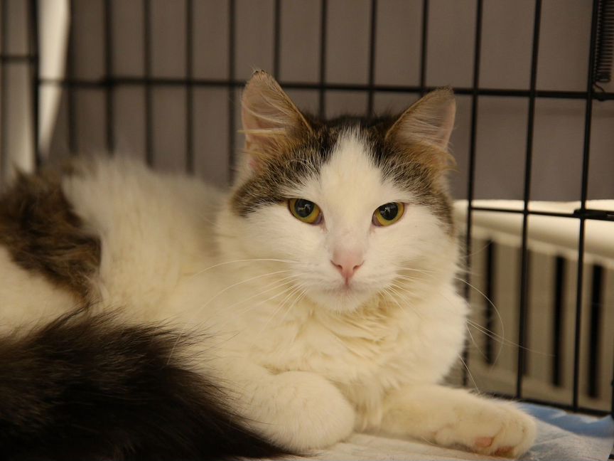 Милаша ищет семью