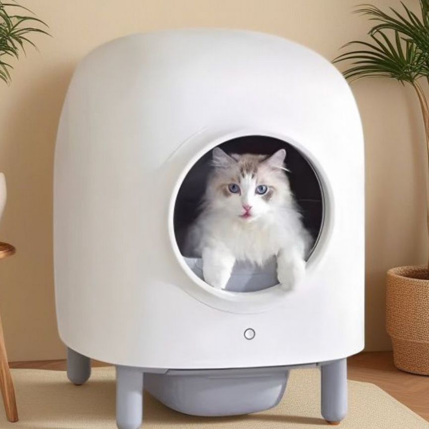 Автоматический лоток Petree 2