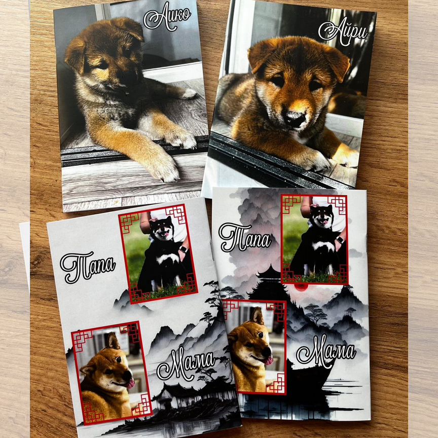 Сиба ину привозные крови