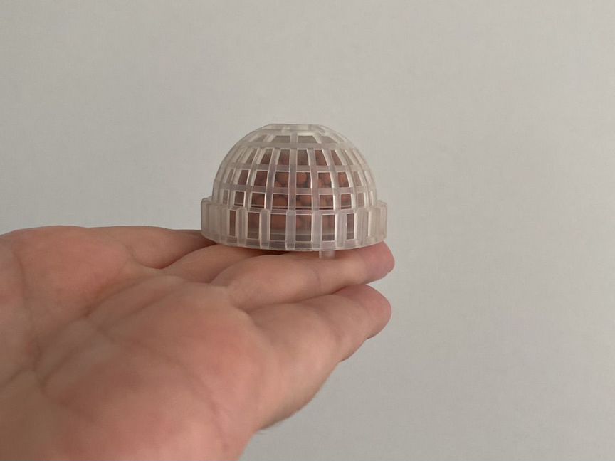 Мох кочка. Приспособление для выращивания мха