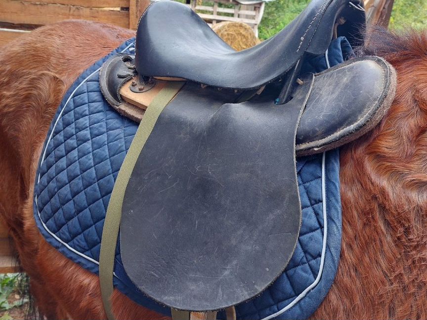 Седло строевое в сборе