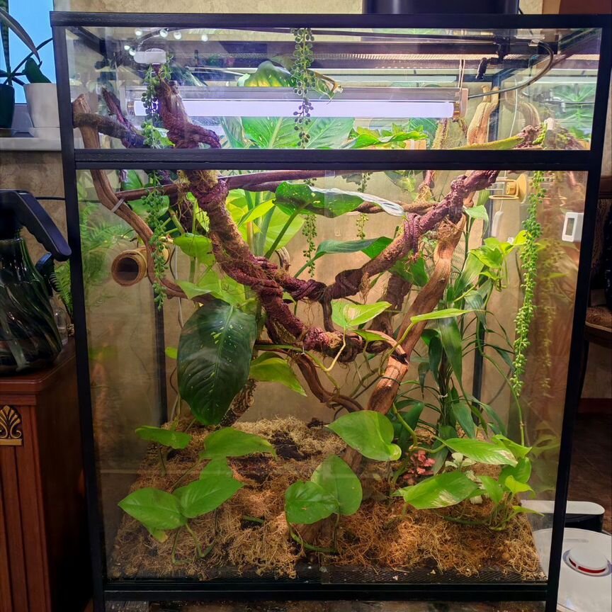 Большой вертикальный террариум