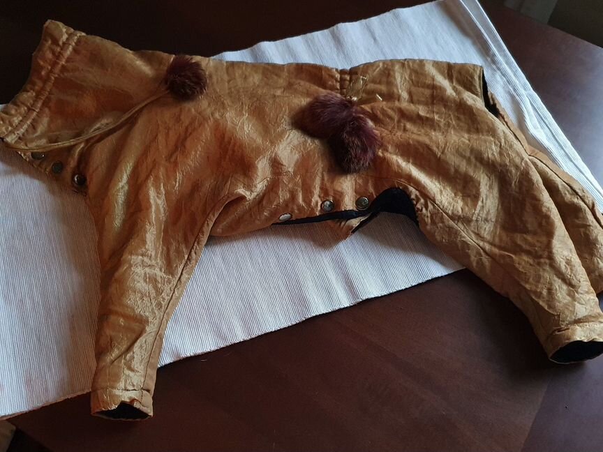 Одежда для собак