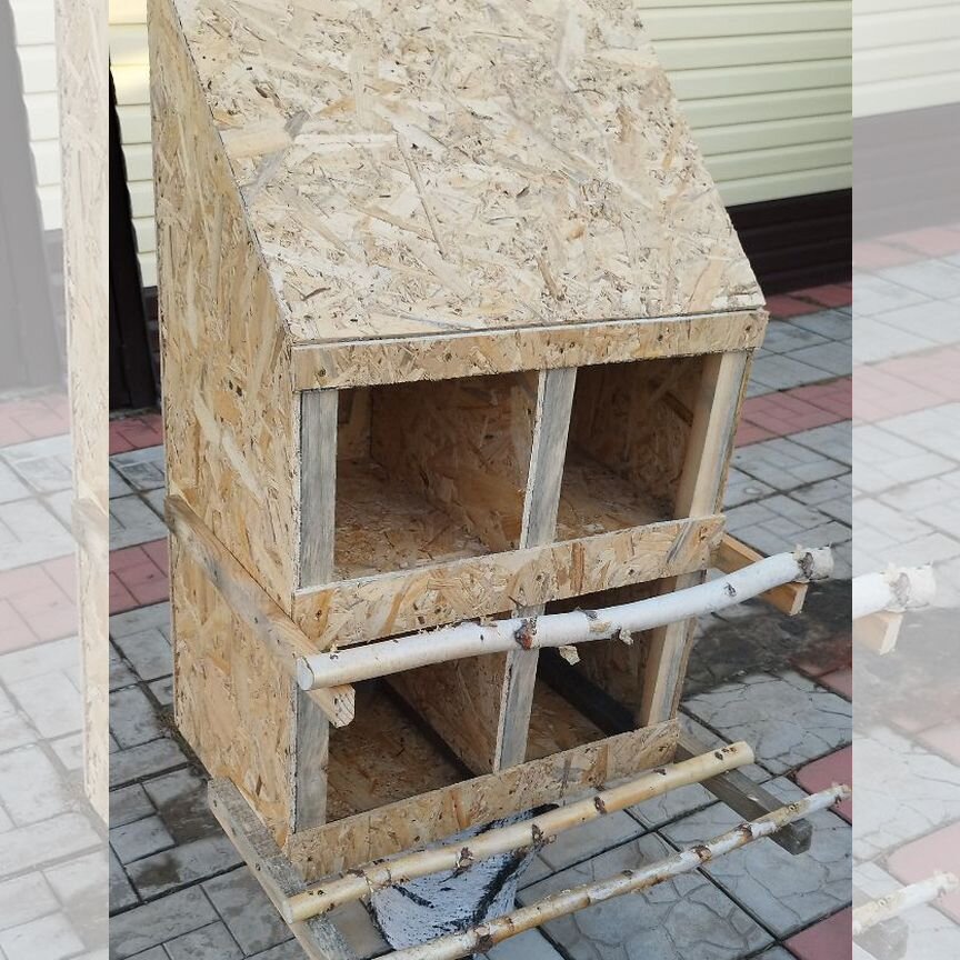 Гнезда для кур