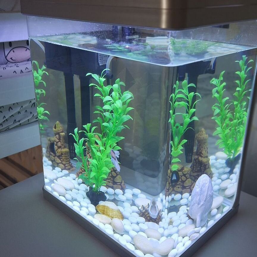Аквариум с рыбками