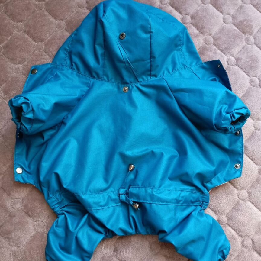 Дождевик для небольшой собачки