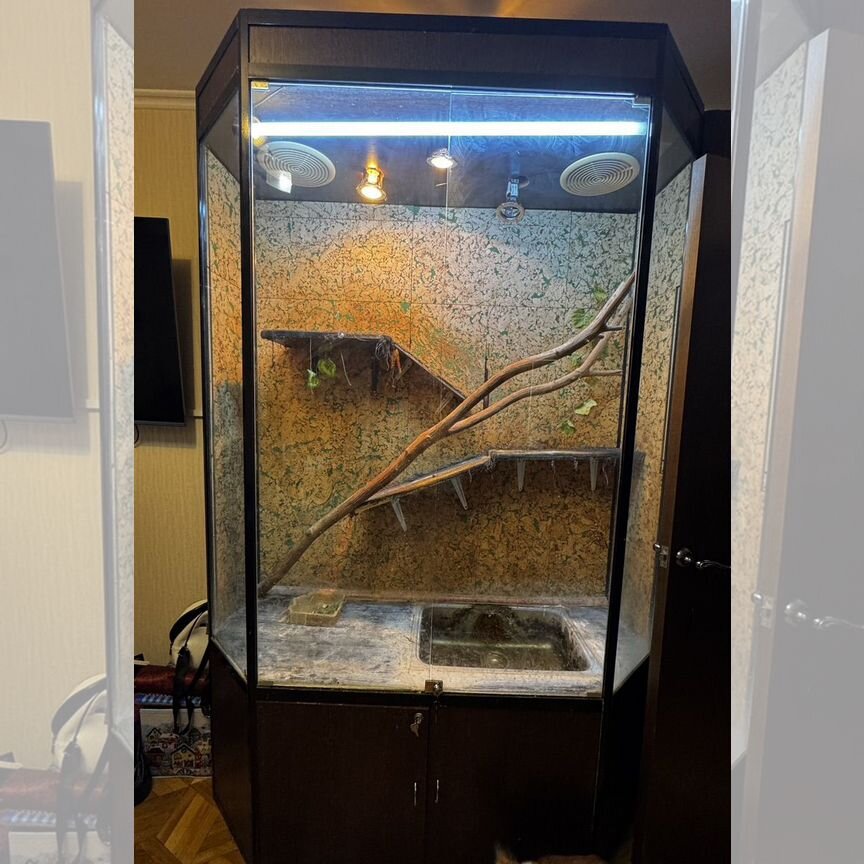 Террариум для игуаны