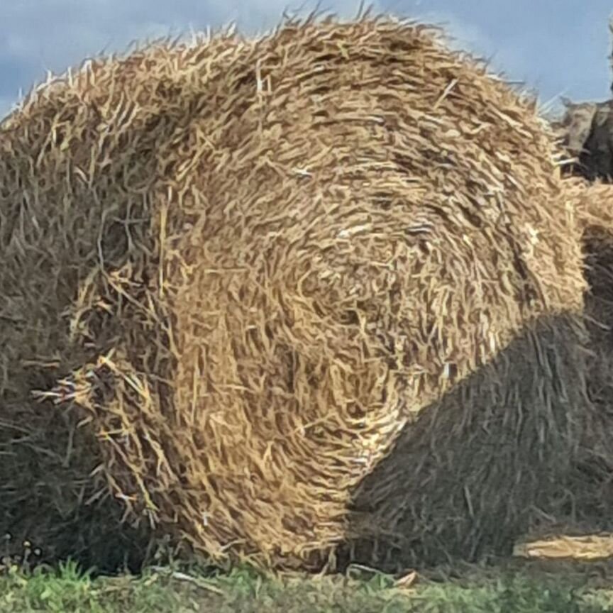 Солома в рулонах