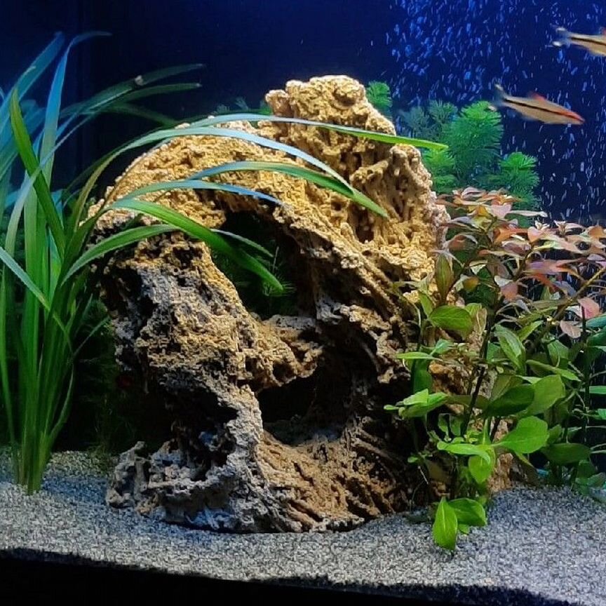 Камень для аквариума