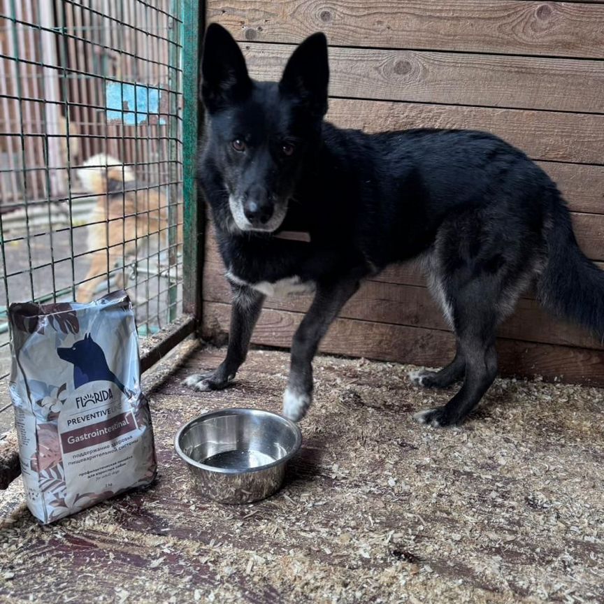 Наоми очень хочет домой