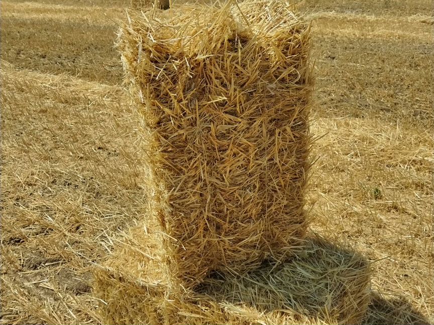 Солома зерновая