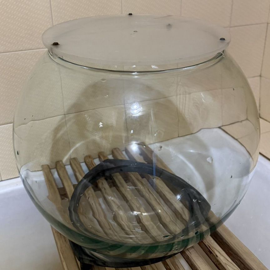 Аквариум для рыбок СССР