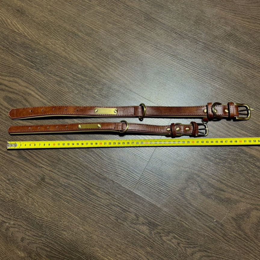 Ошейник для собаки