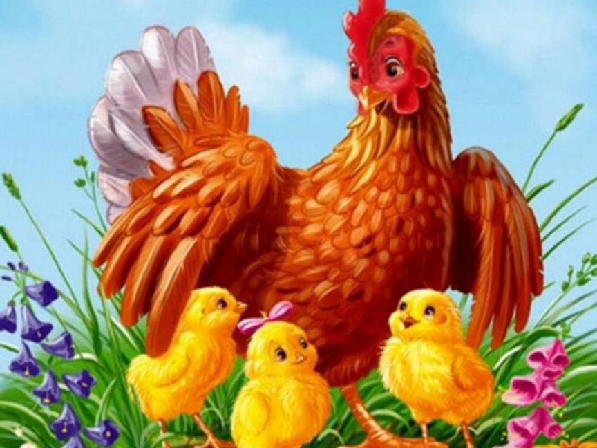 Цыплята от породистых кур