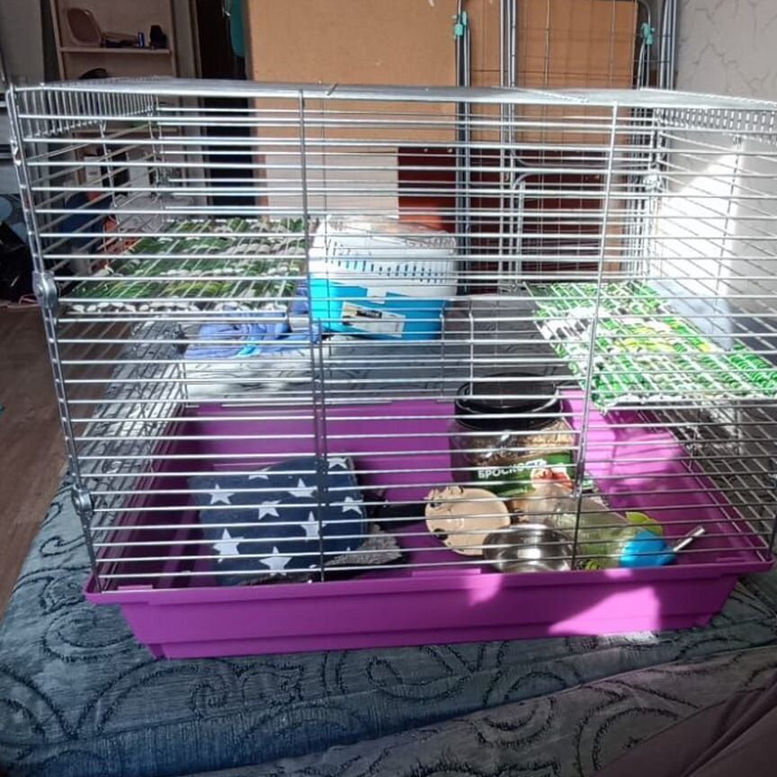 Клетка для дегу или крыс