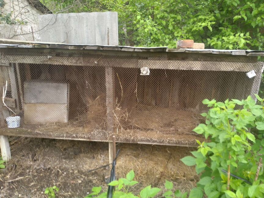 Кролятники