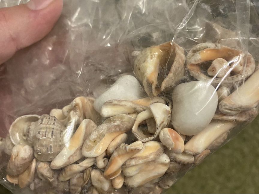 Камни и ракушки для аквариума