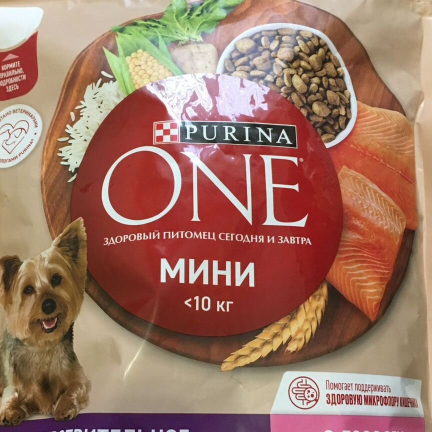 Корм для собак