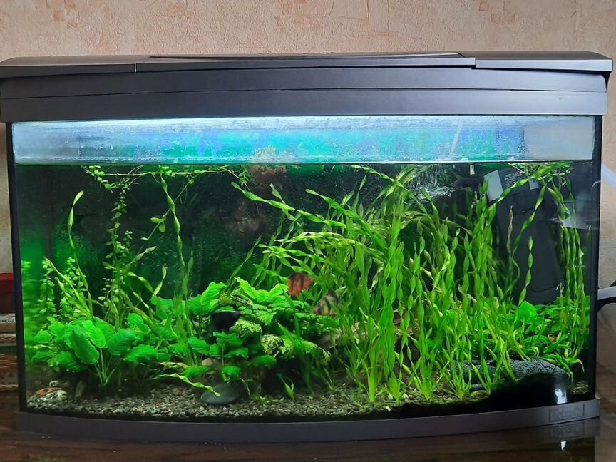 Аквариум tetra 100 л