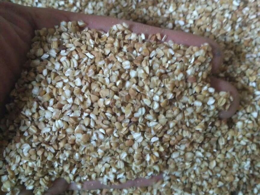 Гречневая сечка для собак