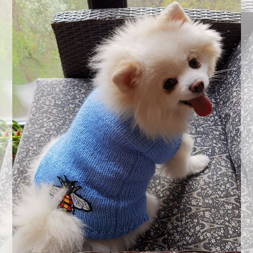 Жилет для собак с пчелой ручная работа