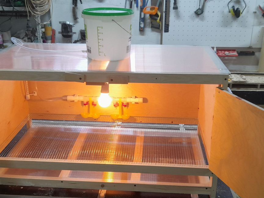 Брудер для цыплят