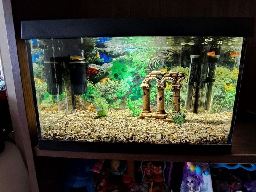 Аквариум 25 литров